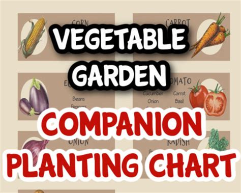 Vegetable Companion Planting Chart Companion Garden Plants Printable