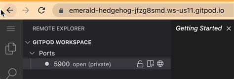 Gitpod Workspace Full Vnc Is Issue Gitpod Io Gitpod GitHub
