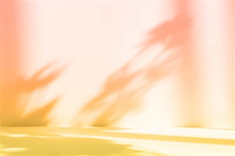 제품 프레젠테이션을 위한 추상 그라데이션 주황색 스튜디오 배경 창과 꽃의 그림자와 야자수가 있는 빈 방 복사 공간이 있는 3d 방 여름 콘서트 흐릿한 배경 프리미엄 사진