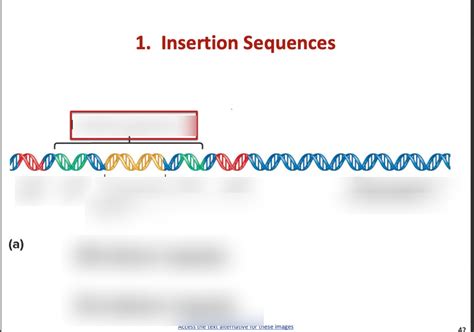 Insertion Sequences Ch 16 Diagram Quizlet