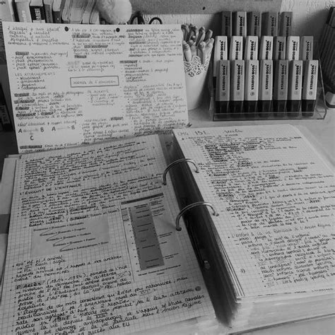 Dirty Curve By Meagan Brandy Aesthetic Notes Studying Aesthetic