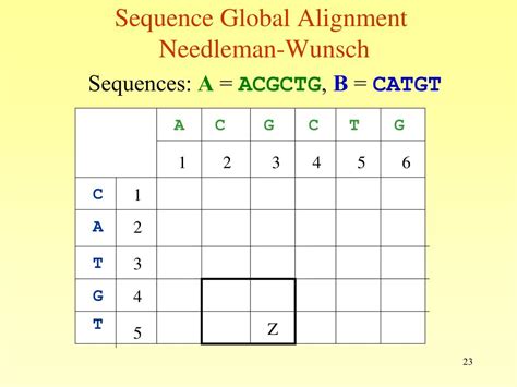 Ppt Sequence Alignment Understanding The Similarity Between Dna And