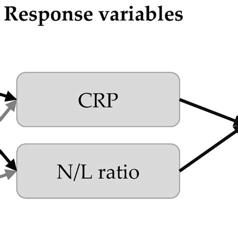 the dietary pattern derived from the reduced rank regression model
