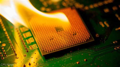 Best Cpu Temperature Monitor Software [2024 Buying Guide]