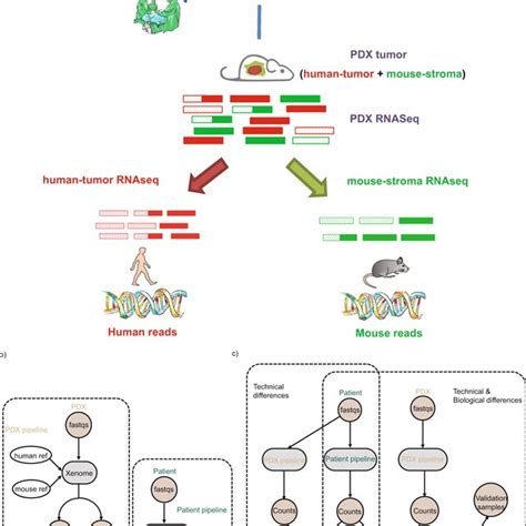 Illustration Of Bioinformatics Strategy And Workflows For Analyzing Download Scientific Diagram