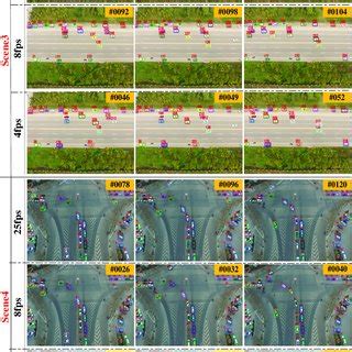 Tracking Results At Three Different Frame Rates In Scenes And Download Scientific Diagram