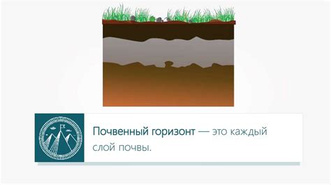 Почва. Состав почвы - презентация онлайн