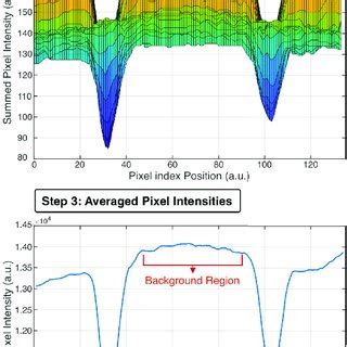 Flowchart With Illustration Of The Image Analysis Steps To Measure Download Scientific Diagram