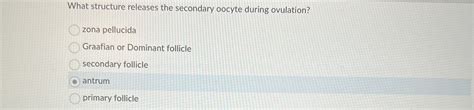 Solved What Structure Releases The Secondary Oocyte During