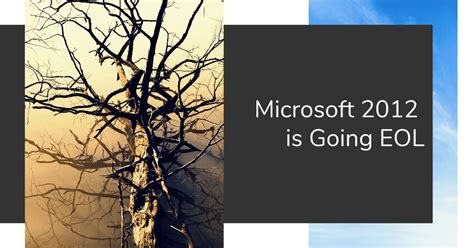 Microsoft EOL What You Need To Know SkyTerra