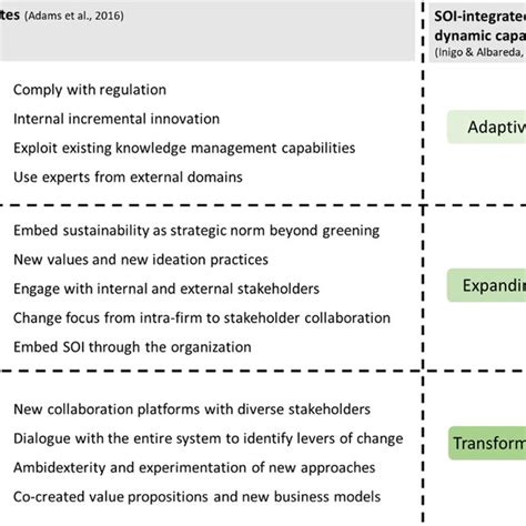 conceptual framework integrating dynamic capabilities soi innovation