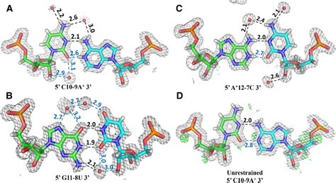 A Novel Form Of Rna Double Helix Based On G·u And C·a Wobble Base Pairing