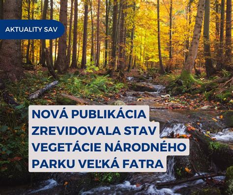 slovenská akadémia vied slovak academy of sciences on linkedin 👀