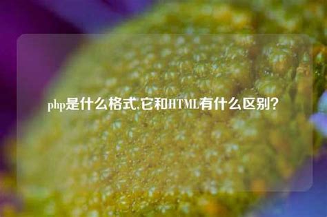 Php是什么格式它和html有什么区别？ 吉云网