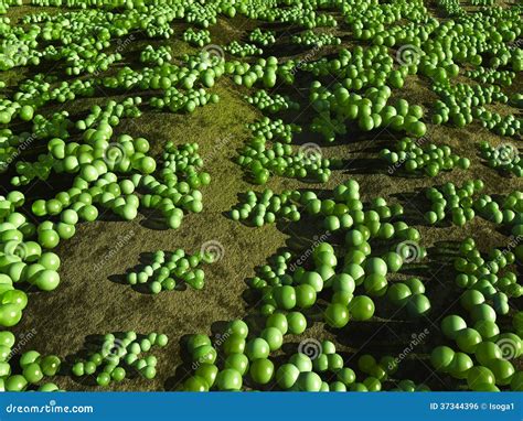 Deadly Bacteria Stock Illustration Illustration Of Particle 37344396