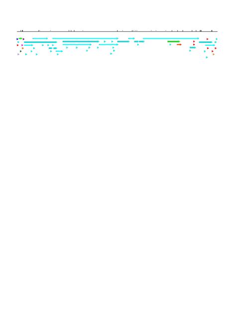 Nl43 Genomic Rna Map Pdf Tree Of Life Biology Genetics