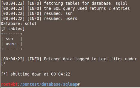 Project SQL X For CNIT Sqlmap Pts