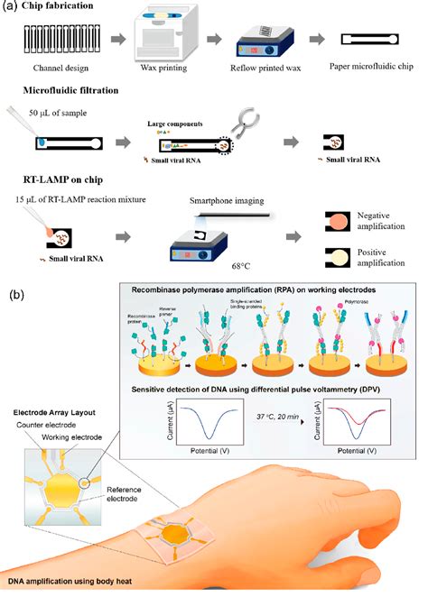 Figure 7 From Recent Advances In Molecular And Immunological Diagnostic