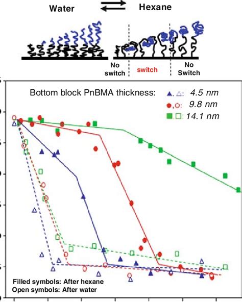 Surface Expression Of Block Segments In Block Copolymer Gradient