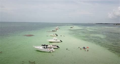 Sandbars To Visit — Sand Bar Rental Boats