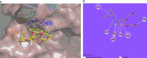 The Binding Mode Of The Erlotinib In The Active Site Of Egfr A 3d
