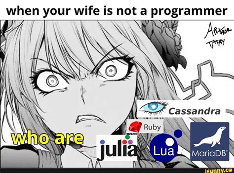 When Your Wife Is I Not A Programmer N Vee Cassandra Ruby Jane Ifunny