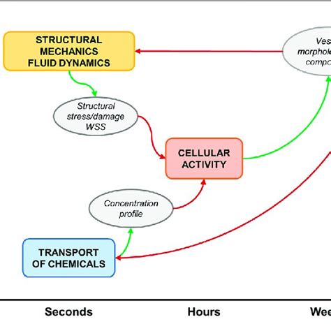 Schematic Representation Of A General Multiscale Framework Of Download Scientific Diagram