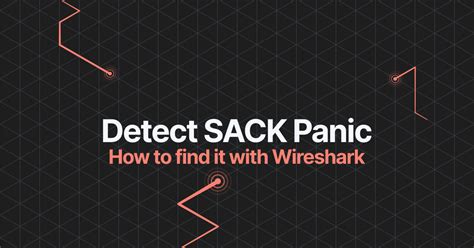How To Detect The Sack Panic Vulnerability With Wireshark Pentest