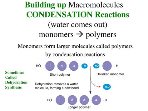 Biochemistry What Is Organic Ppt Download
