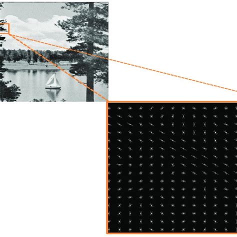 Standard 8 Bit Grayscale Image Used In Experiments As Cover Images Download Scientific Diagram