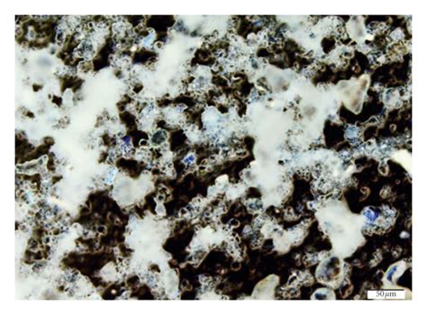 Three States And Sizes Of Flocs During Flocculation And Sedimentation