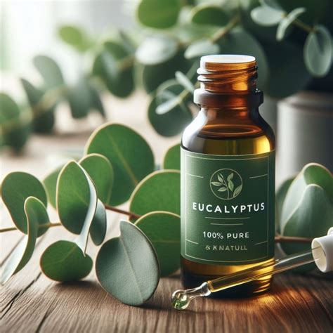 유칼립투스 오일의 종류와 효능 및 활용법 비염 네이버 블로그