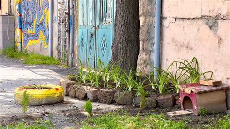 რუსთაველის შლაგბაუმის დაყენებით შესაძლებელი გახდა ეზოში გამწვანებაზე ზრუნვა 🌿🚧🌱 მწვანე ზონაში