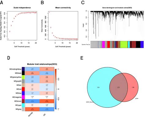 Integrative Analysis Reveals Diagnostic Biomarkers And Immune Landscap