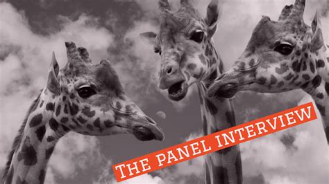 Panel Interviews Don T Have To Be Scary Tips For Acing Them Fedability