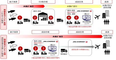 国内初、生鮮航空貨物のワンストップ物流を「成田市公設地方卸売市場」で構築 日本航空株式会社のプレスリリース