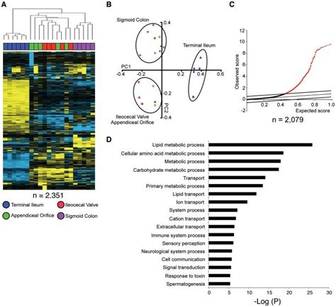 A Unsupervised Hierarchical Clustering Analysis Was Used To Organize