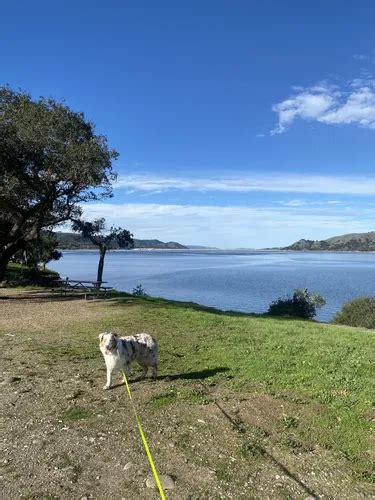 Best Hikes And Trails In Lake Cachuma Recreation Area Alltrails