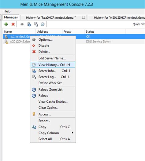 Other Actions In The Management Console — Micetro By Menandmice 105 Documentation