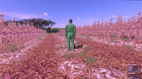 New Corn Texture V1 0 0 0 FS25 FS22 Mod