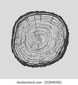 Tree Age Rings Sketch Images Browse Stock Photos Vectors Free Download With Trial