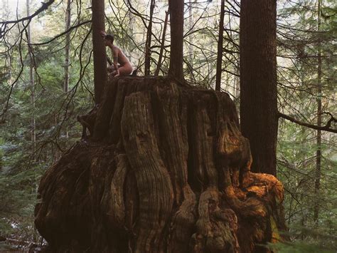 Winter Log R NakedInTheWoods