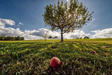 So War Das Wetter Im Oktober Zu Warm Zu Trocken Und Zu Viel Sonne