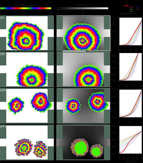 Dynamics Of 2d Colony Growth Four Examples Of Colony Spreading Download Scientific Diagram