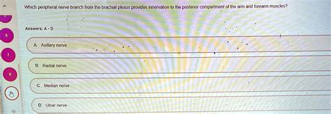 Which Peripheral Nerve Branch From The Brachial Plexus Provides