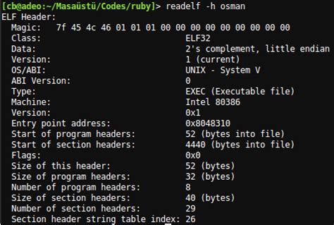 Canberk Bolat ELF File Format Parsing