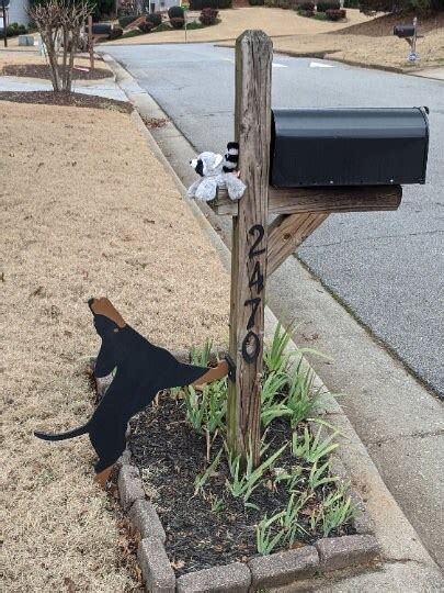 Blank Wooden Coonhound Cutout Etsy