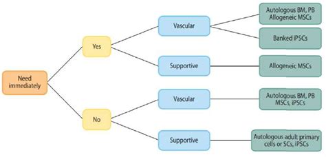 Example Of Decision Algorithm For Selection Of Non Parenchymal Cells To