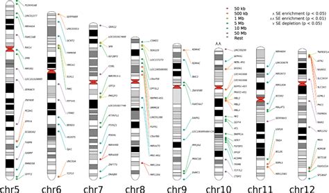 Chromosomal Plot Partial Snapshot Of The Chromosomal Plot Of Ses Download Scientific Diagram