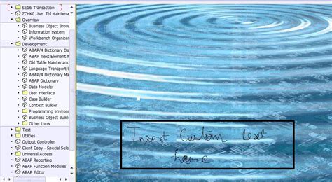 How To Insert Custom Text In SAP Easy Access Scree SAP Community